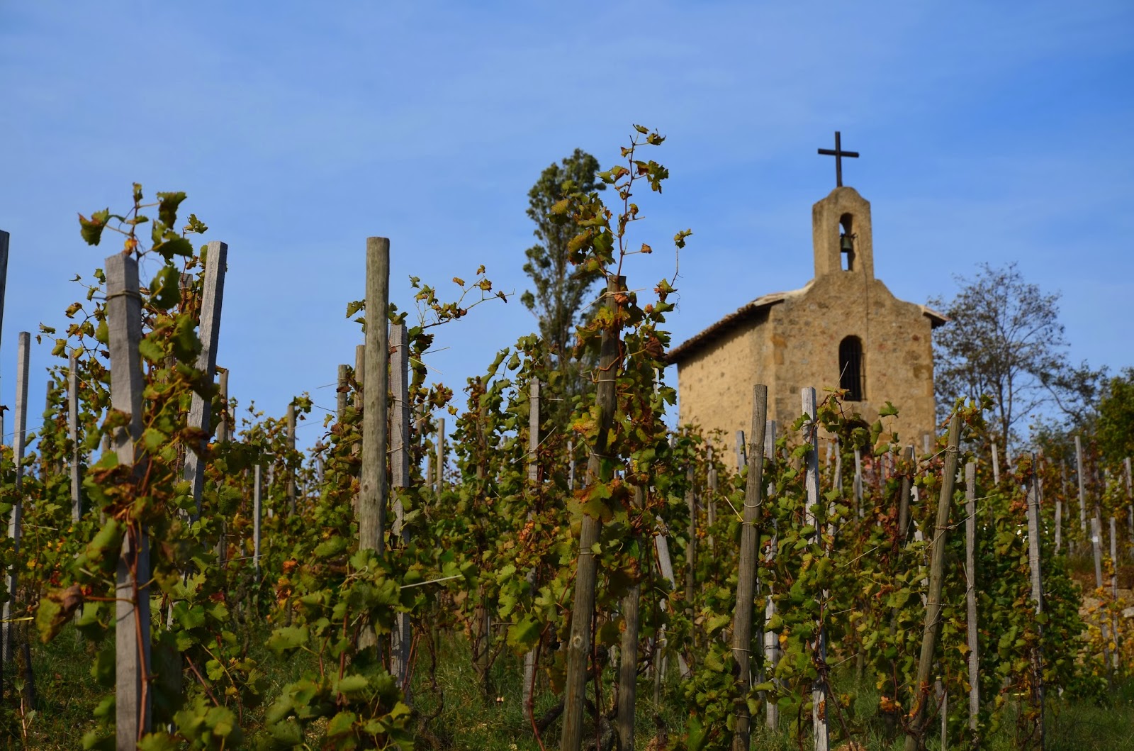 de l'Hermite à l'Hermitage | GITE-LES-CEDRES